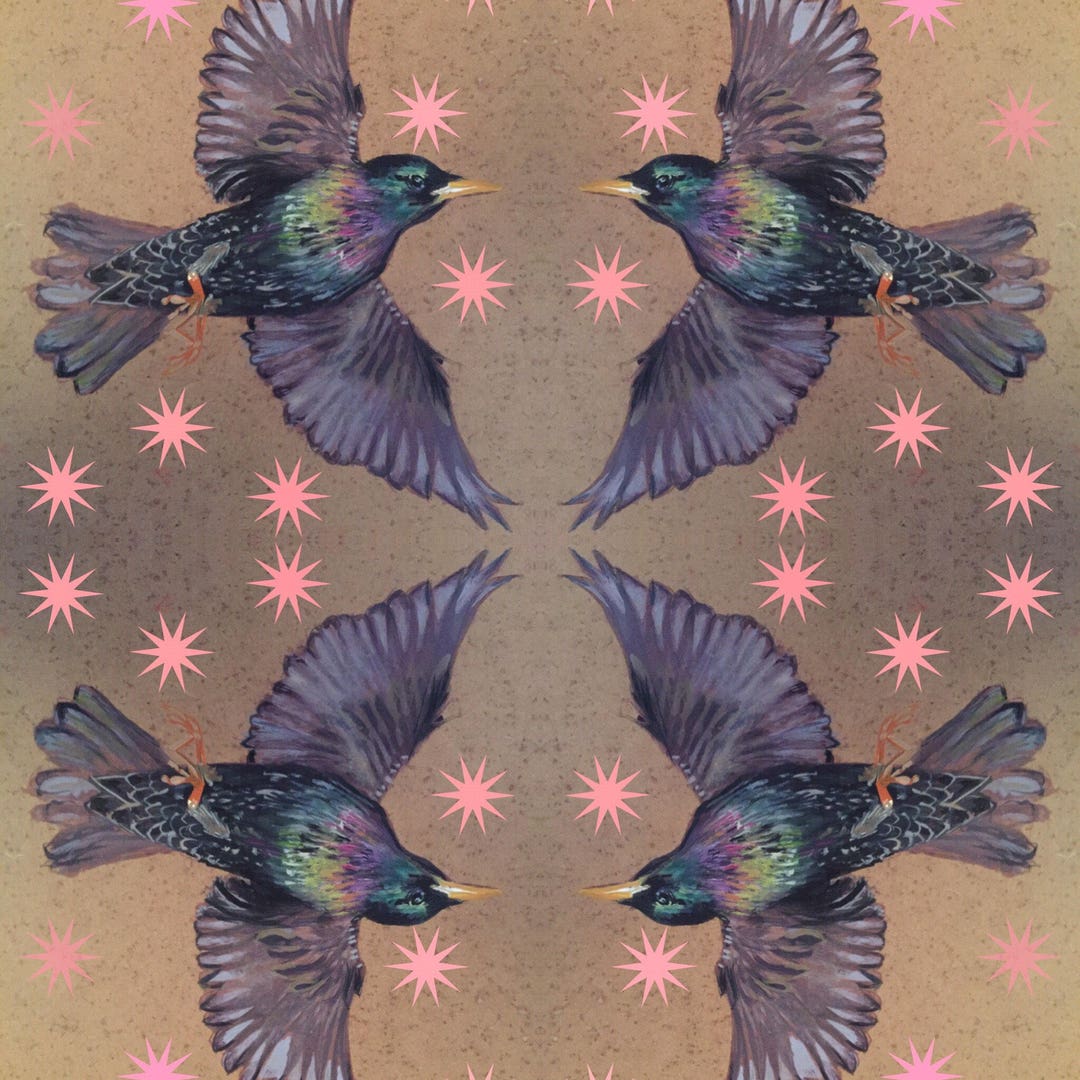 Starlings and Stars Wallpaper -designed Here at Candyland Studios ...