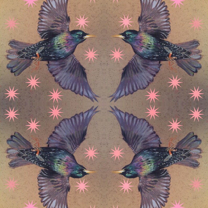 Starlings and Stars Wallpaper -designed Here at Candyland Studios ...