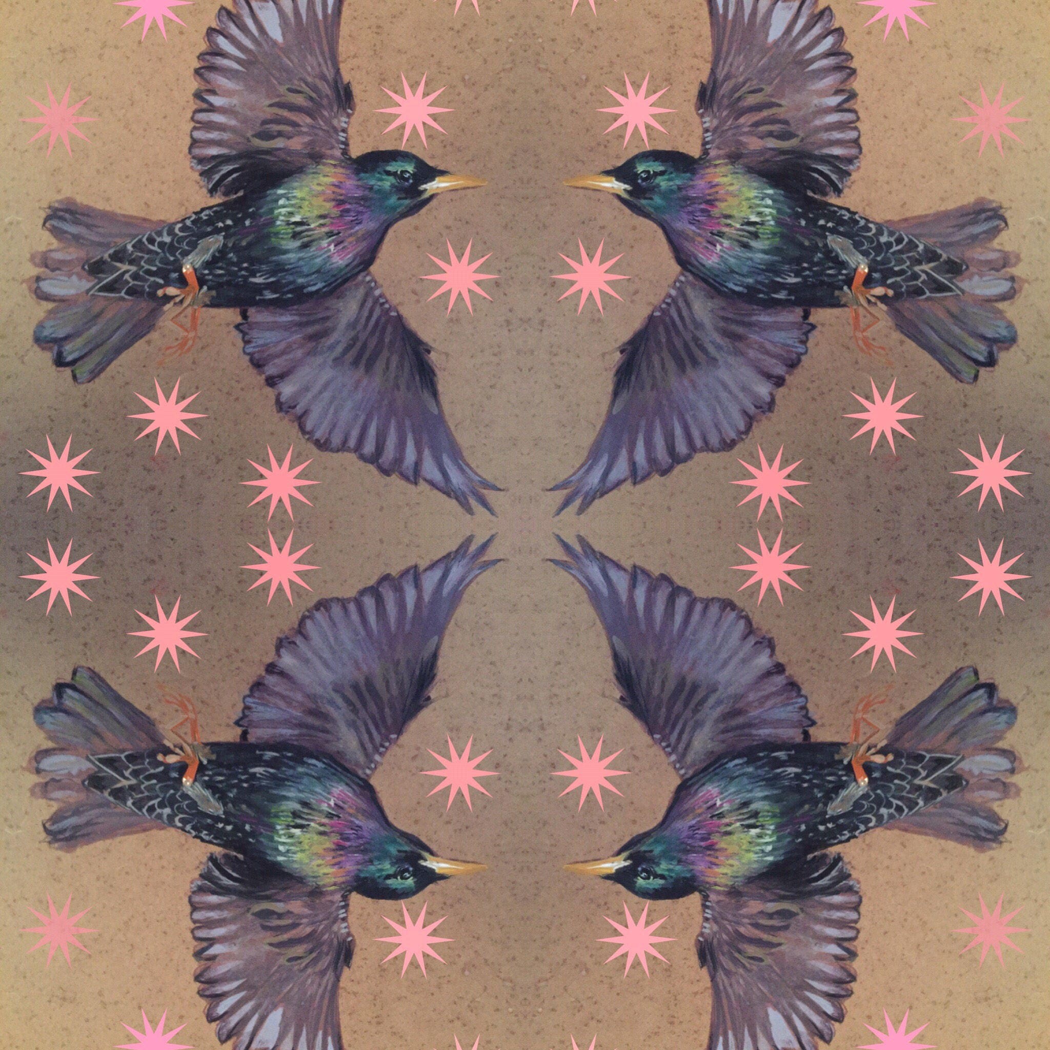 Starlings and Stars Wallpaper -designed Here at Candyland Studios ...