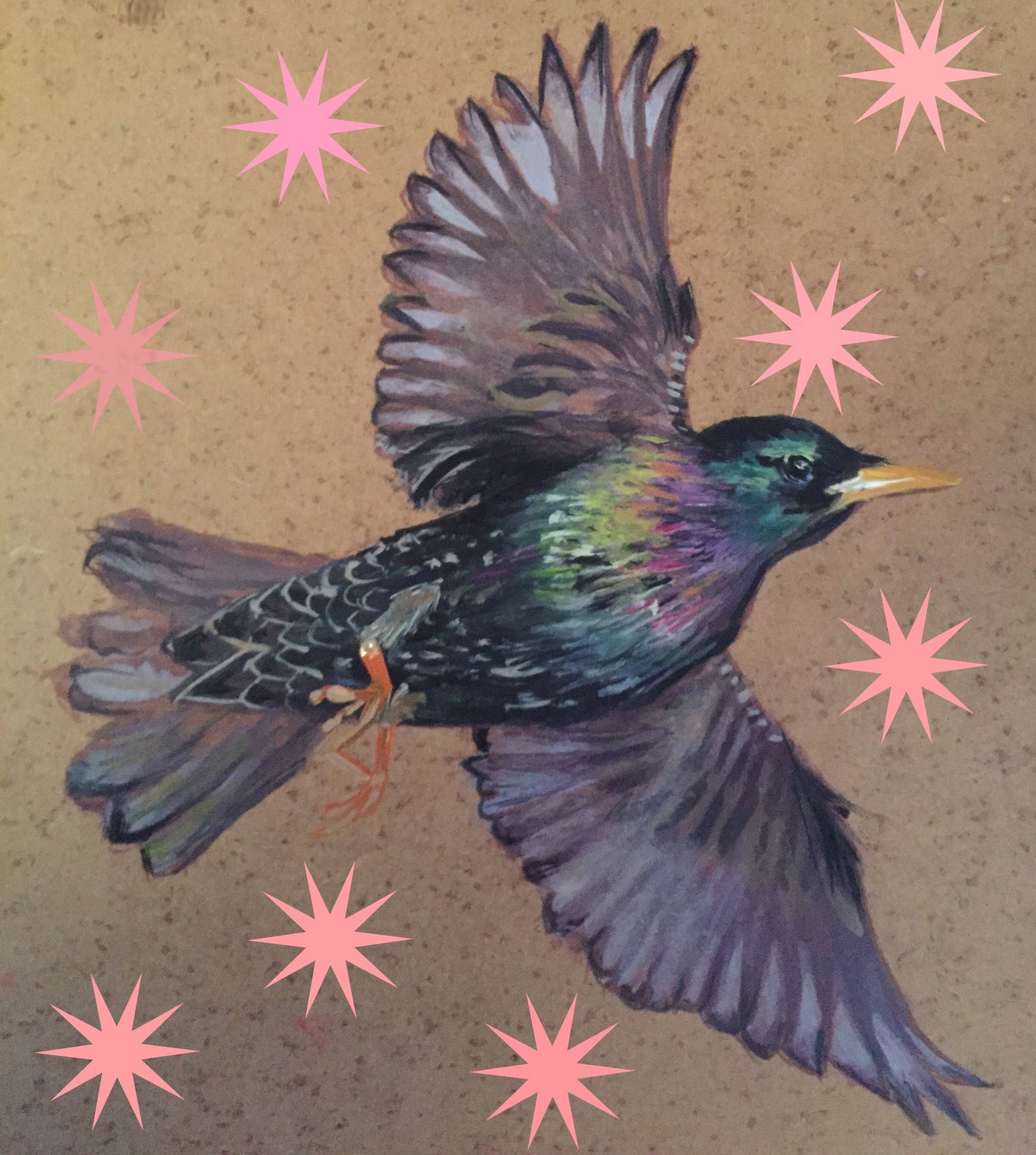 Starlings and Stars Wallpaper -designed Here at Candyland Studios ...