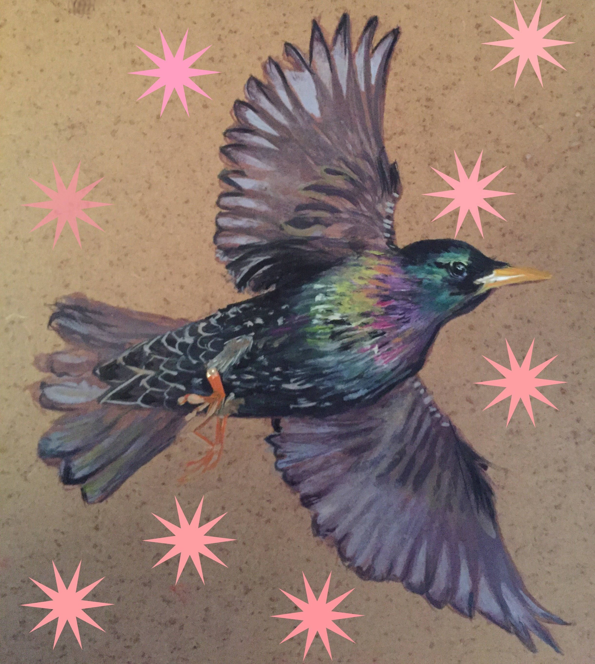 Starlings and Stars Wallpaper -designed Here at Candyland Studios ...