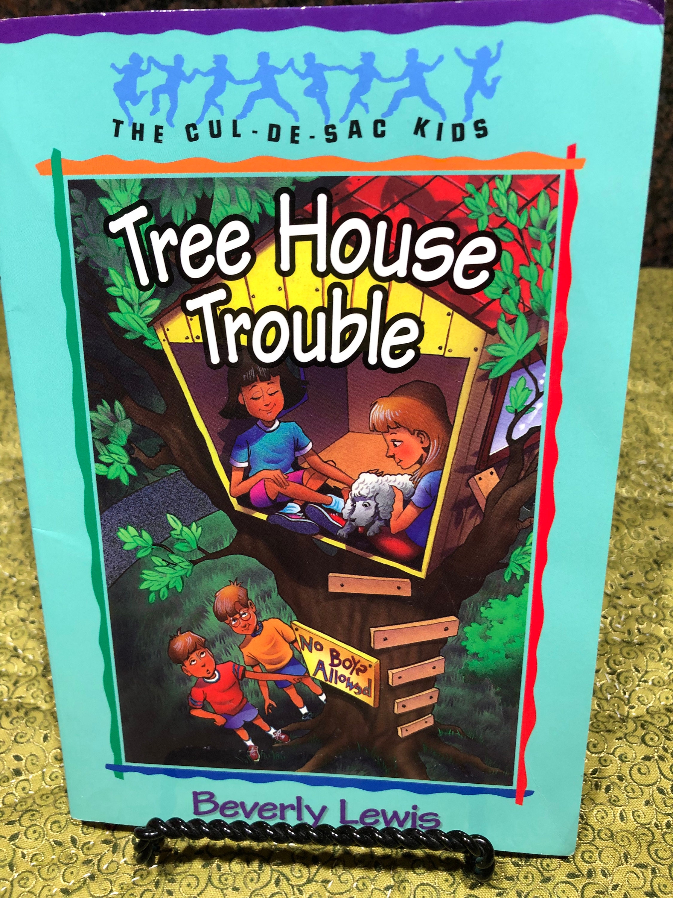 The Cul-de-sac Kids Set of 4 Books by Beverly Lewis - Etsy