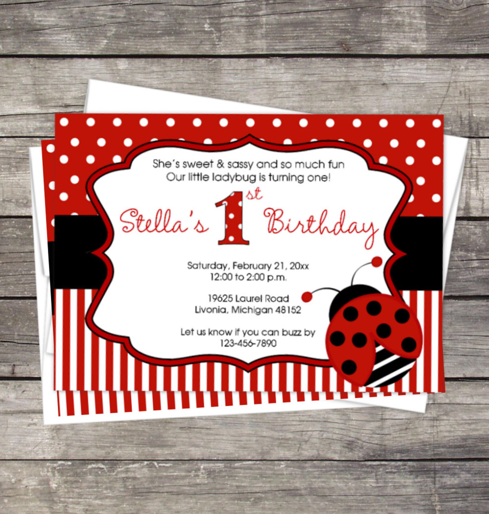 Ladybug Birthday Party Invitation Lady Bug Party Girls - Etsy