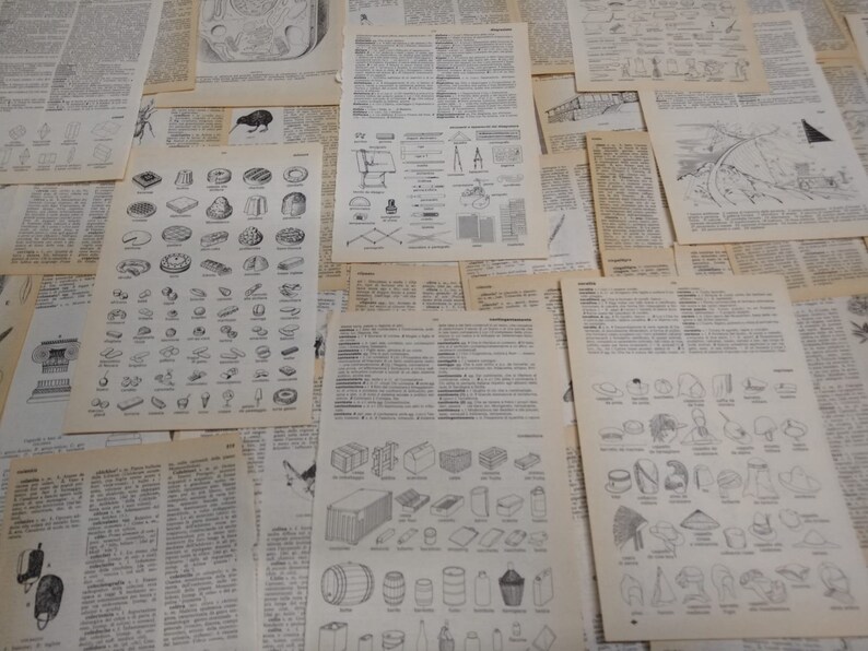 Vintage Italian Illustrated Dictionary Pages. 1970's. Aged Book Pages ...