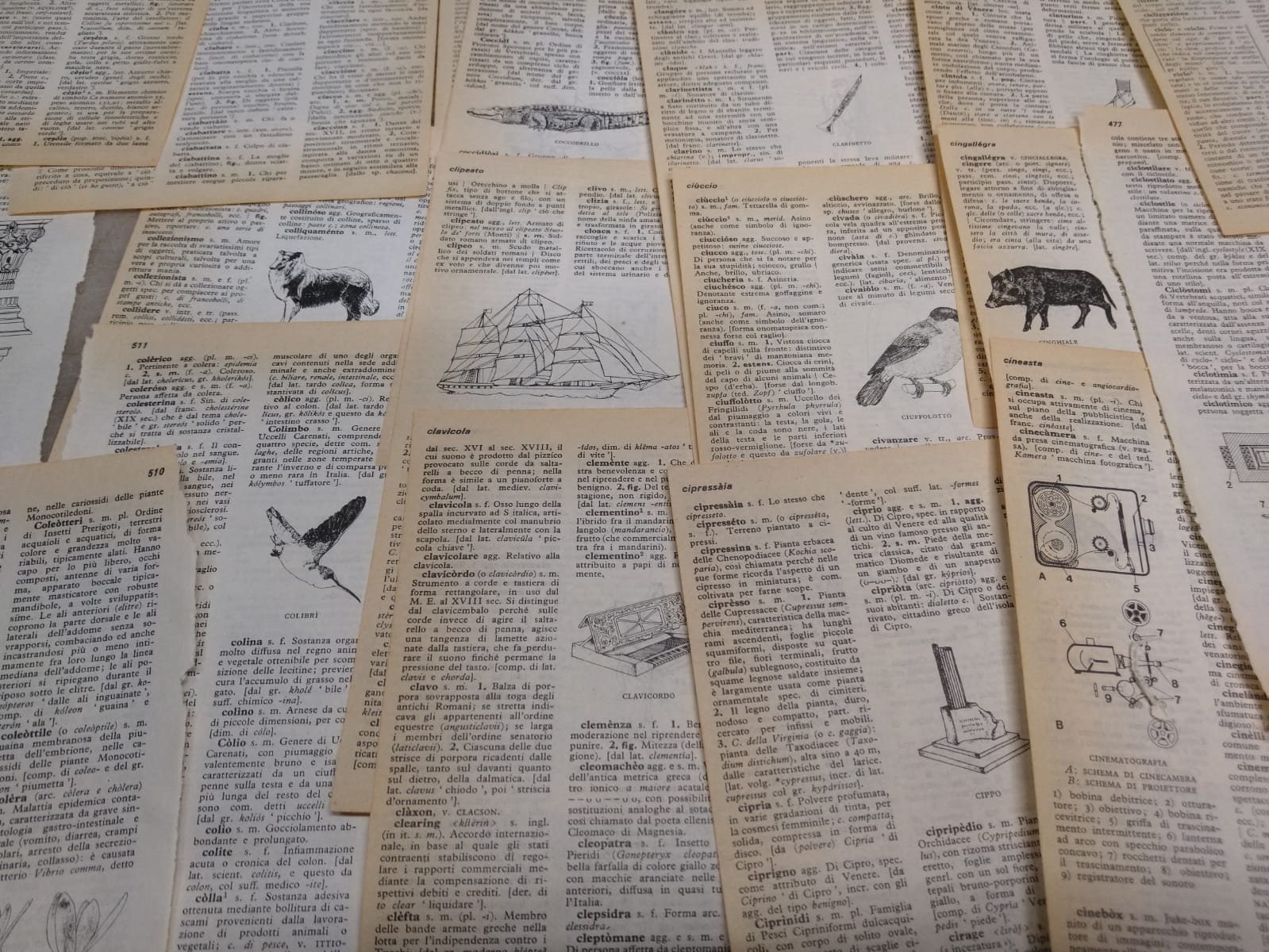 Vintage Italian Illustrated Dictionary Pages. 1970's. Aged Book Pages ...