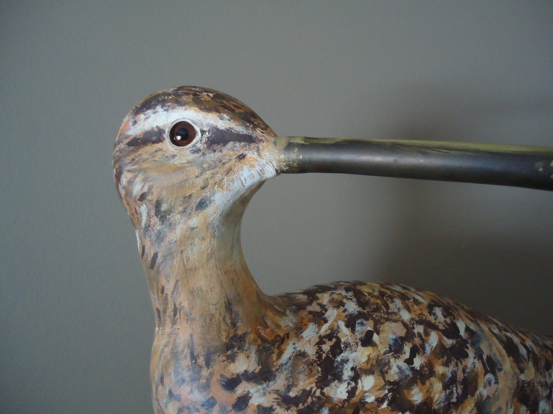 Carved Sculpture,, Long Billed Curlew, Shorebird, Smoothie, Decoy ...