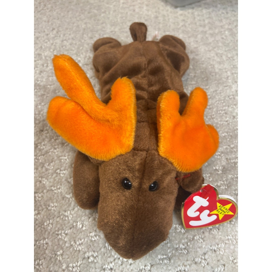 TY Beanie Baby Chocolate the Moose Rare -tag Errors - Etsy