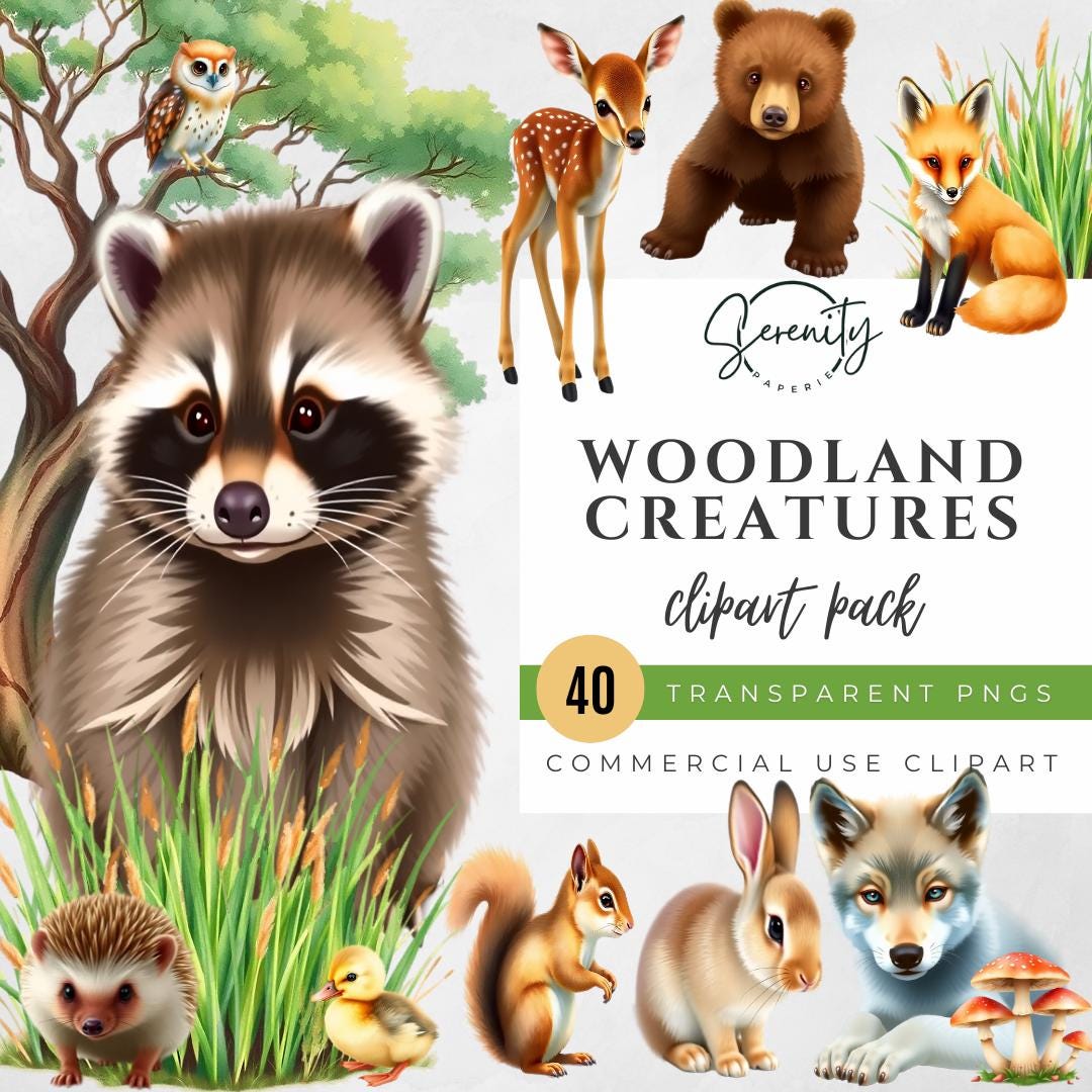 Woodland Creatures Clipart, Cute Forest Animals Digital Download ...