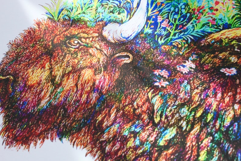 Multi-colored Buffalo - Etsy