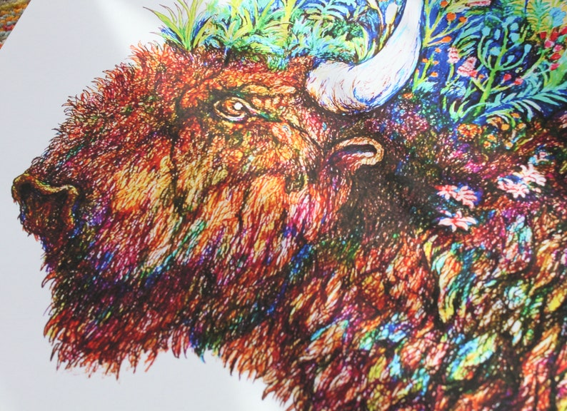 Multi-colored Buffalo - Etsy