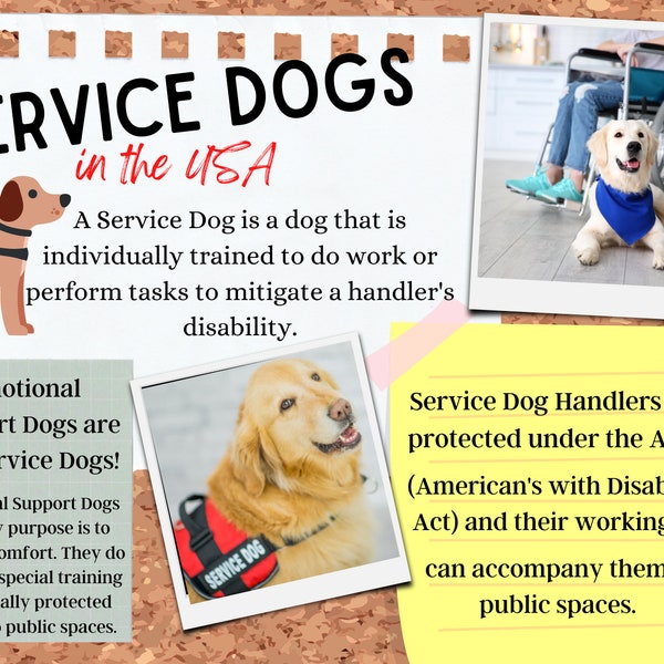 Service Dog - Etsy