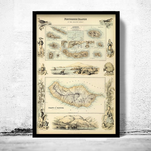 Old Map of Açores Azores Islands 1899 Portuguese Map - Etsy
