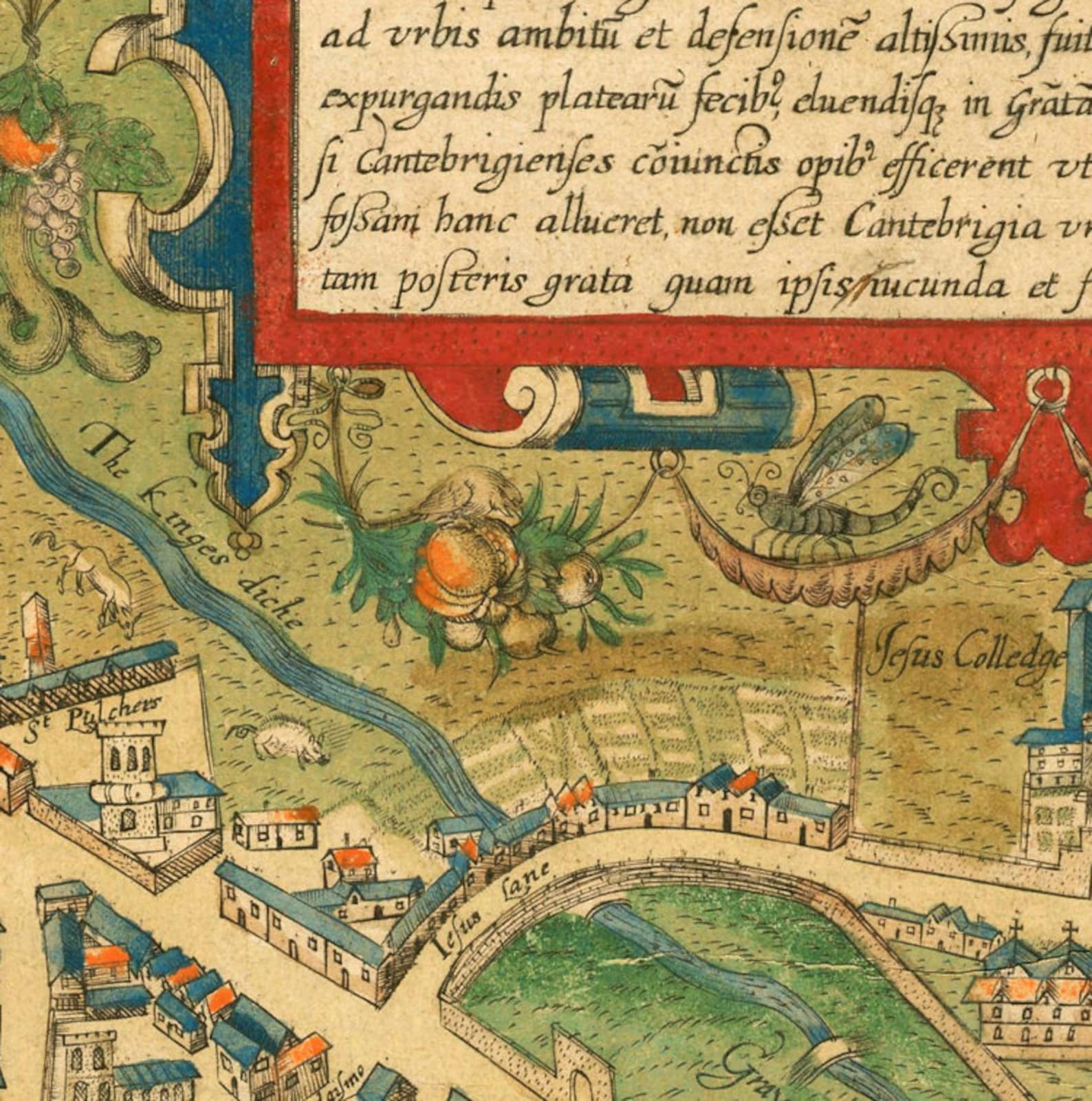 Old Map of Cambridge 1574 England Vintage Map Vintage Poster - Etsy