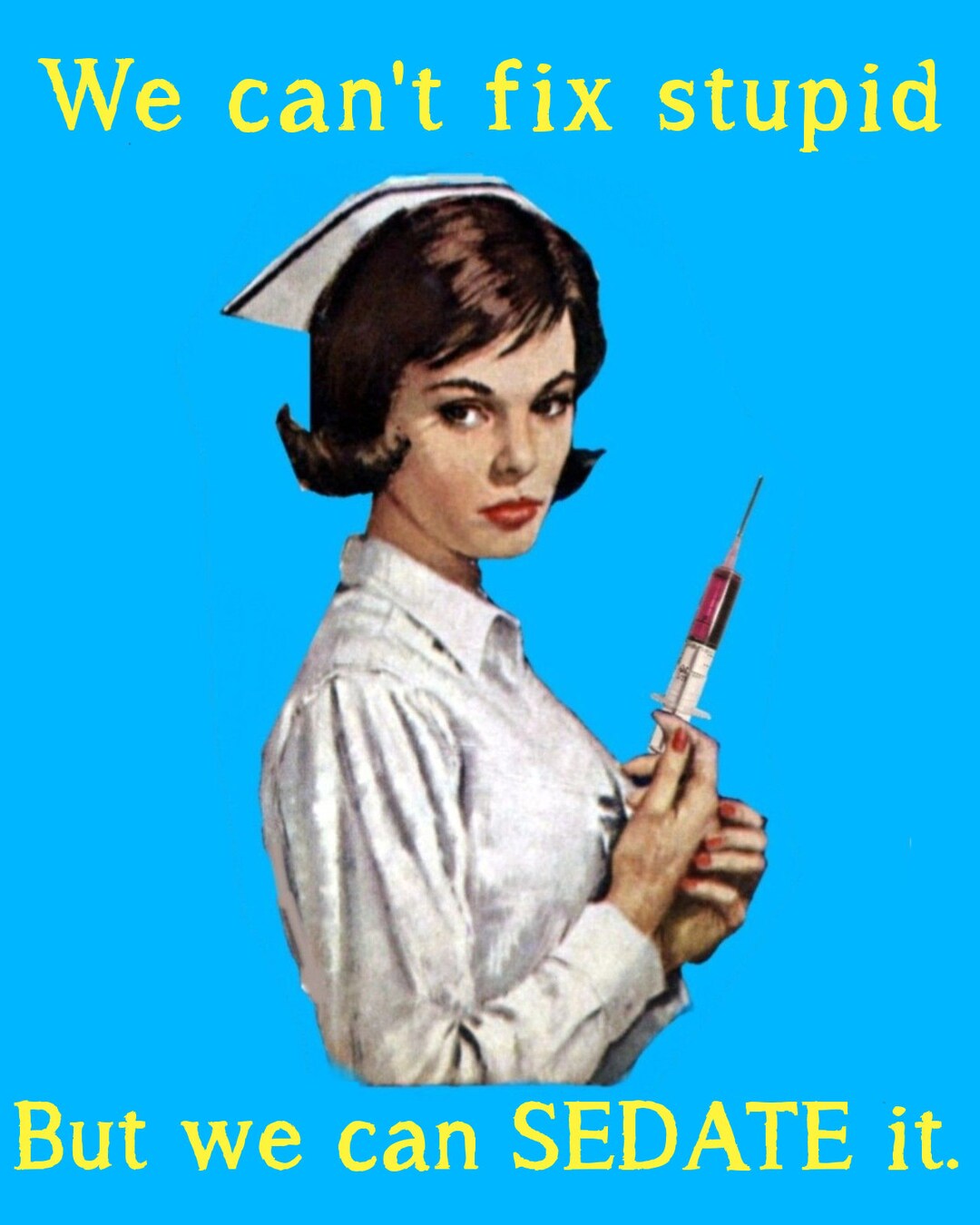 We Can't Fix Stupid but We Can SEDATE IT 2" X 3" Fridge Magnet ...