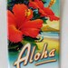 HAWAII ALOHA HIBISCUS 2 X 3 Fridge Magnet Hawaiian | Etsy