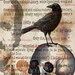Edgar Allan Poe the Raven Clipart/digital Print Images - Instant ...