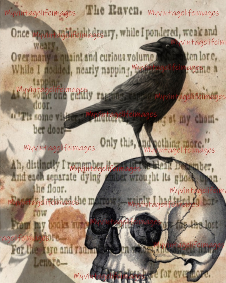 Edgar Allan Poe the Raven Clipart/digital Print Images - Etsy