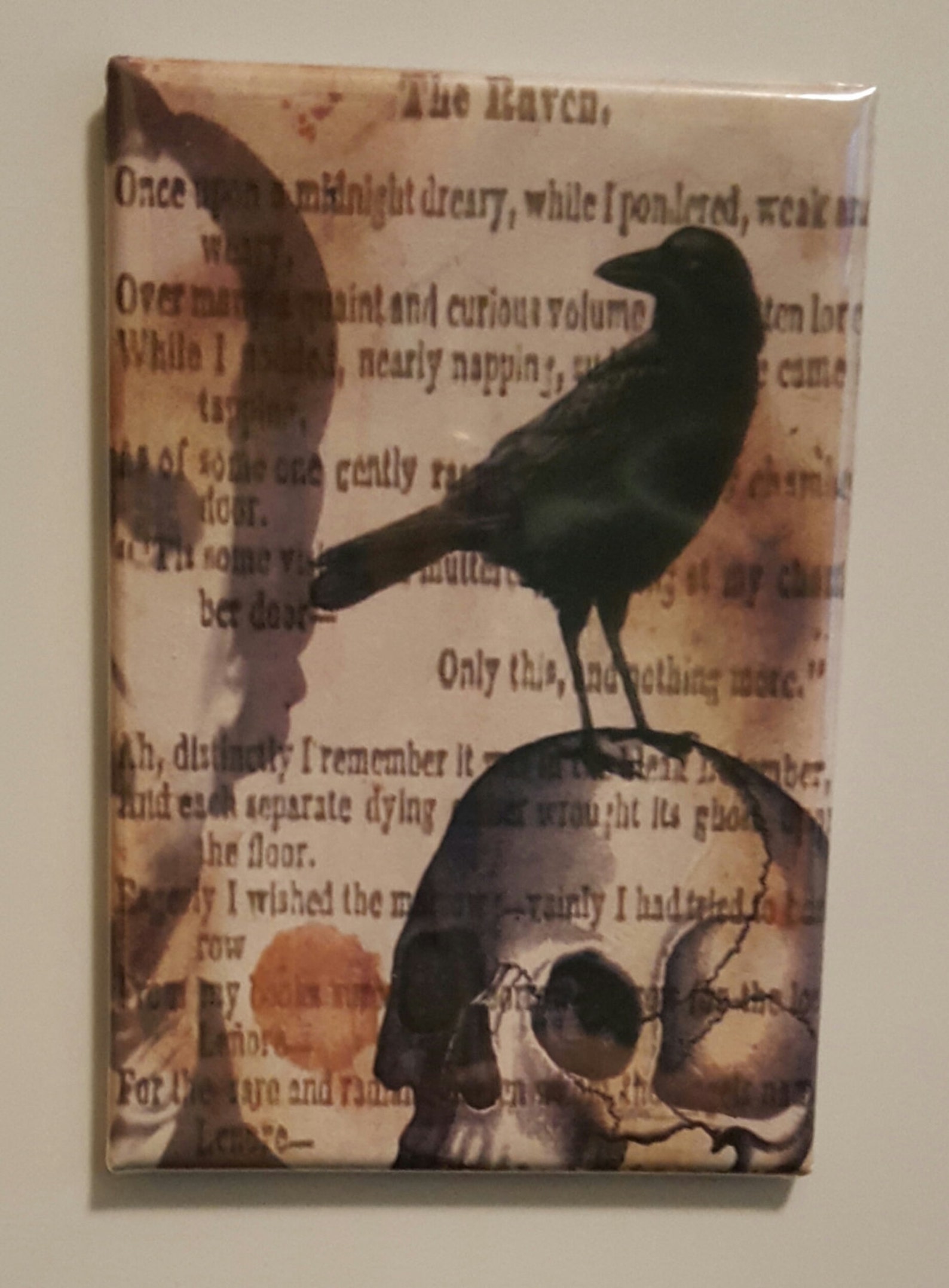 Edgar Allan Poe the Raven With Skull 2" X 3" Fridge Magnet Art Vintage ...