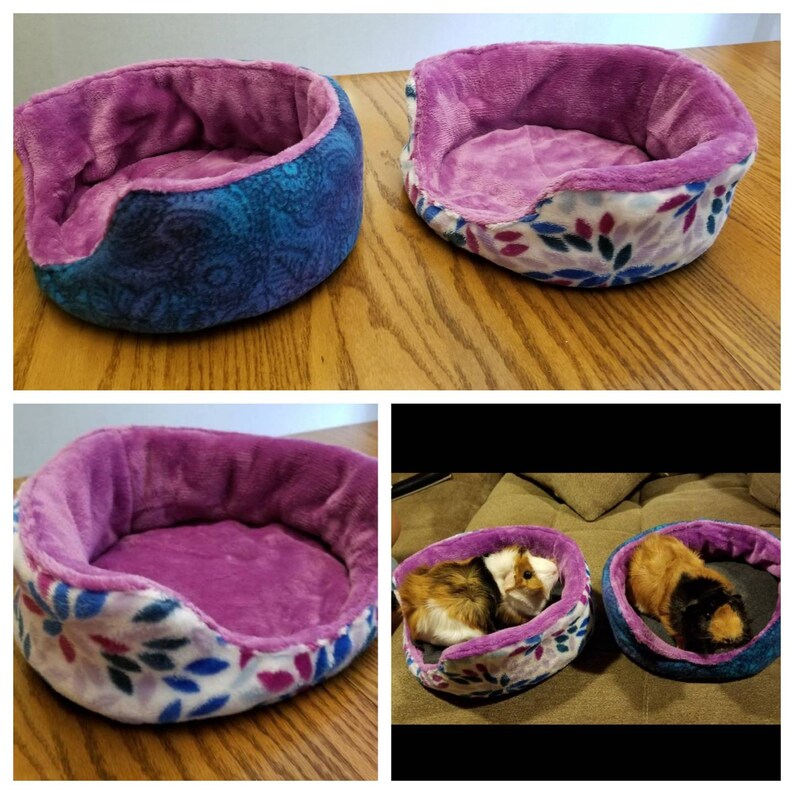 Guinea Pig Cozy Cave Bed Hidey Pigloo Bright Fun Colors Ready | Etsy