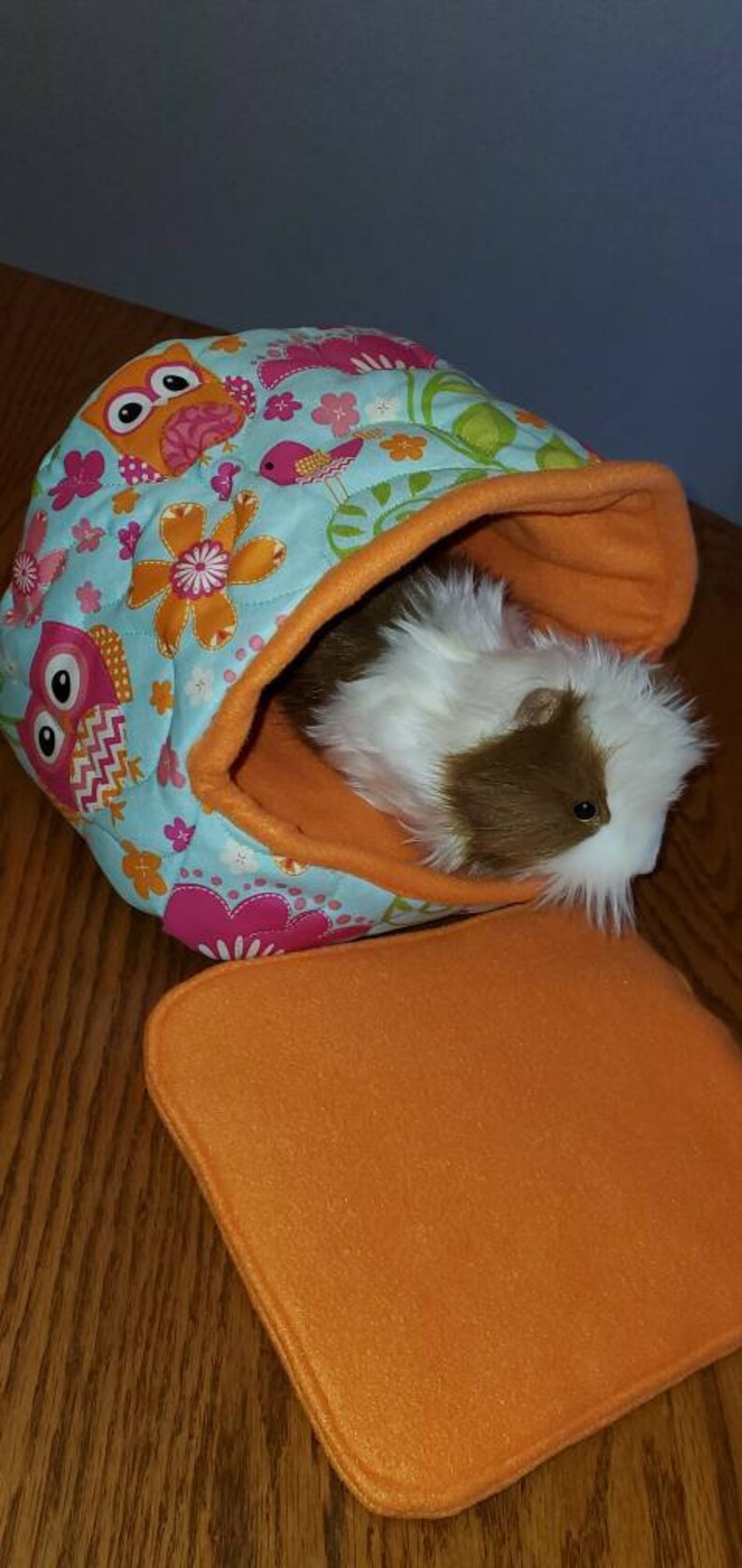 Guinea Pig Cozy Cave Bed Hidey Pigloo Bright Fun Colors Ready | Etsy