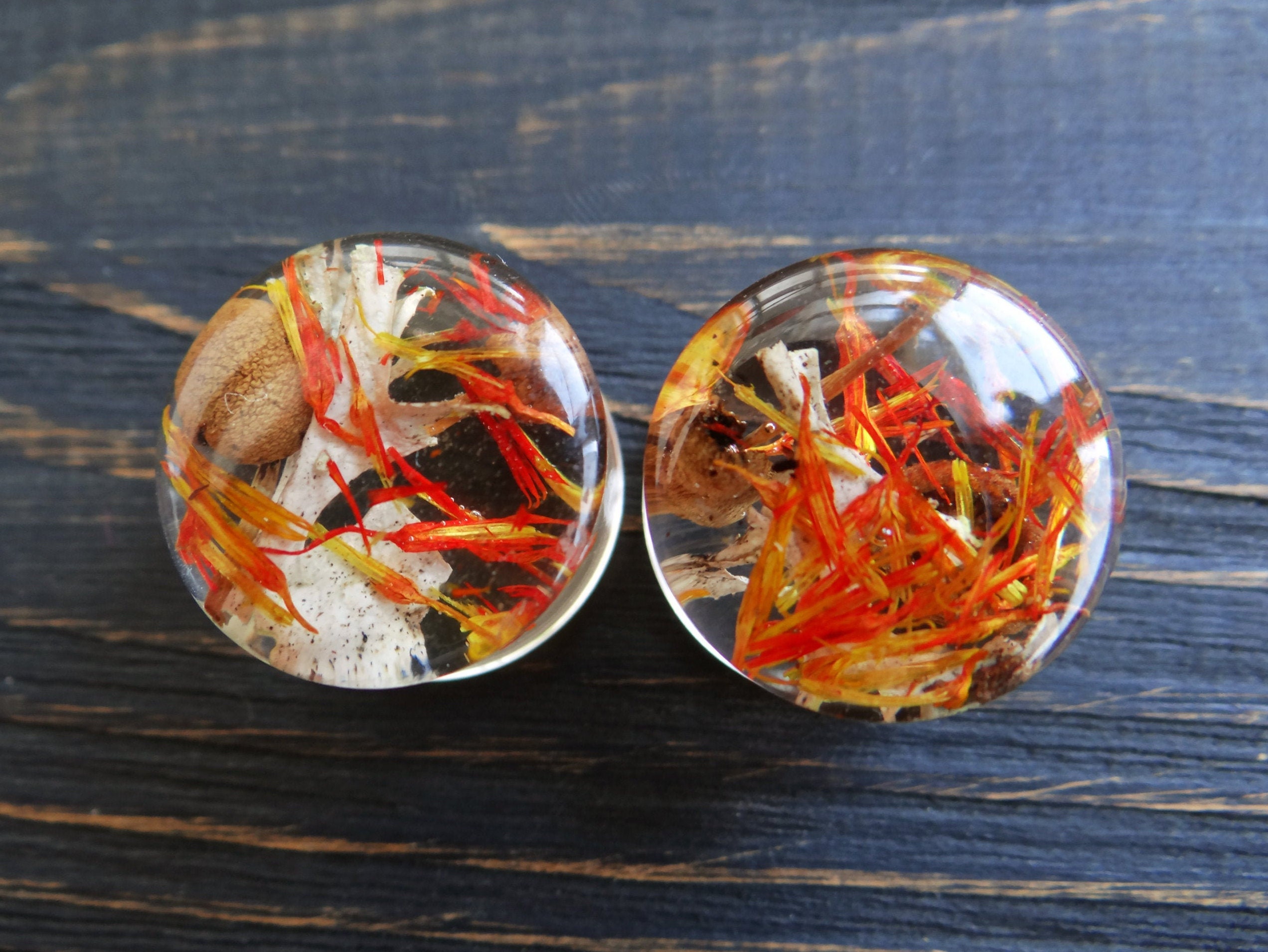 Mushroom plugs Forest plugs 0 gauge earrings 00g plugs Fairy | Etsy