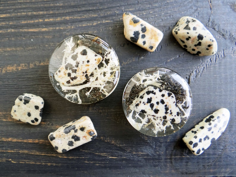 DALMATIAN JASPER Plugs Gauges for Men for Women 0g 00g 1/2 - Etsy