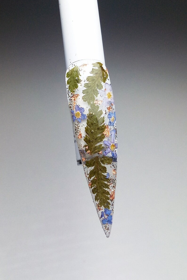 Reusable Nail Fern Forget-me-not Long Stiletto Nails Fake Nail | Etsy