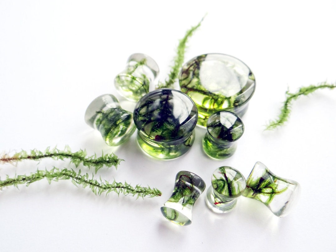 Moss Plugs Eco Resin Plugs Gender Neutral Jewelry Green Plugs and ...