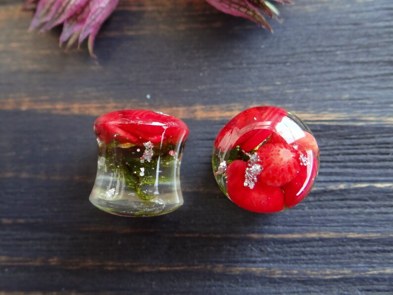 Red Plugs Genuine Coral Plugs Gauges 00 Ear Plug Stone Plugs - Etsy