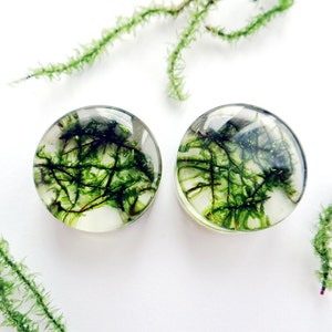 Moss Plugs Eco Resin Plugs Gender Neutral Jewelry Green Plugs and ...
