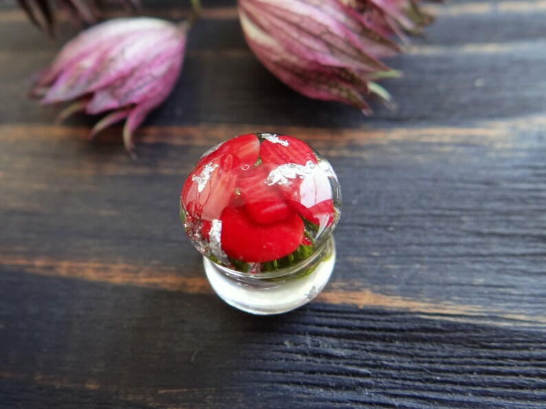 Red Plugs Genuine Coral Plugs Gauges 00 Ear Plug Stone Plugs - Etsy