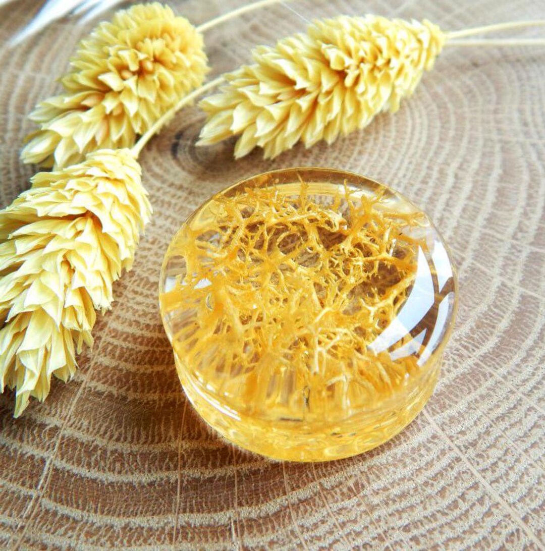 Yellow-orange Moss Plugs: Resin Gauge Earrings, Unique Plugs, 0g Double ...