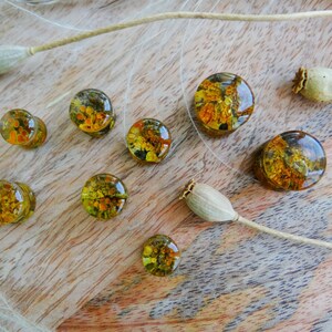 Forest Plugs and Tunnels 0g Woodland Plug Lichen Resin Gauges Large ...