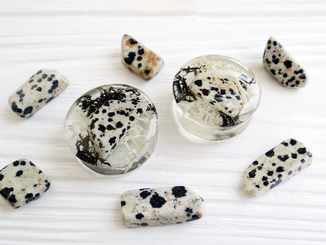 DALMATIAN JASPER Plugs Gauges for Men for Women Stone Plug and Tunnel ...