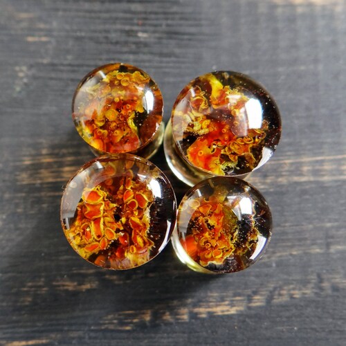 PAIR of Beautiful Organic Concave Black Onyx Stone Plugs | Etsy