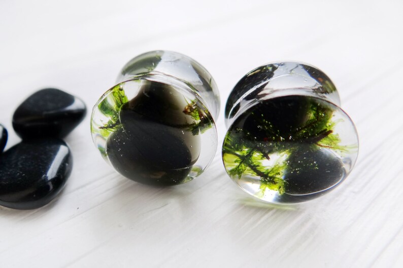 Obsidian Plugs Gauges Genuine Stone Plugs 00g Onyx Plugs and | Etsy