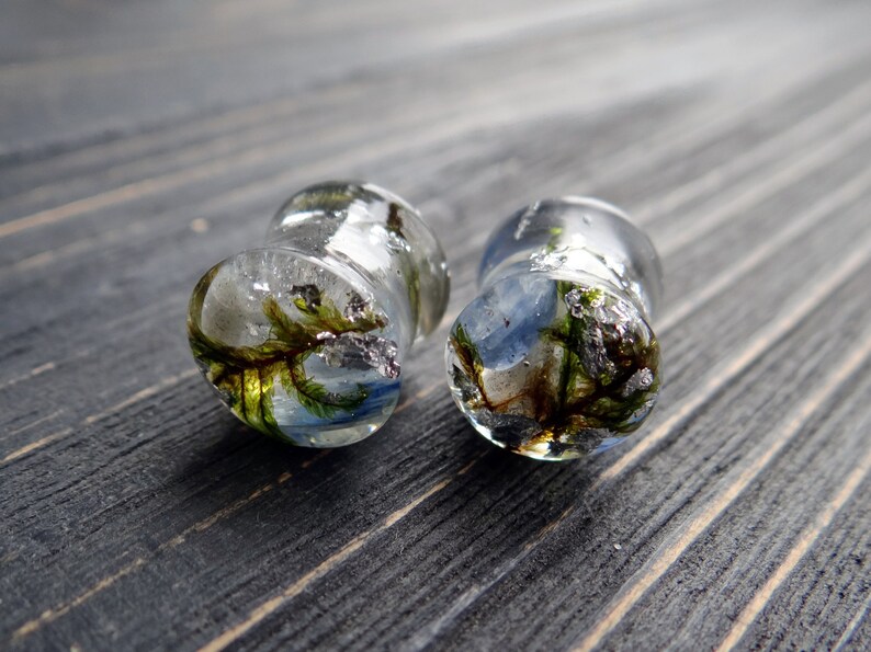 Labradorite plugs Kyanite plugs for men for women Stone plugs | Etsy