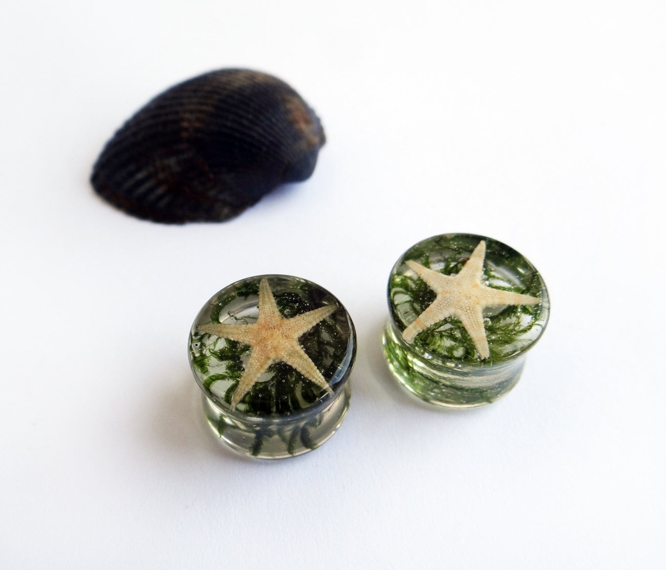 Starfish Plugs 2 Inch Plugs Mermaid Plugs Under the Sea Plug | Etsy