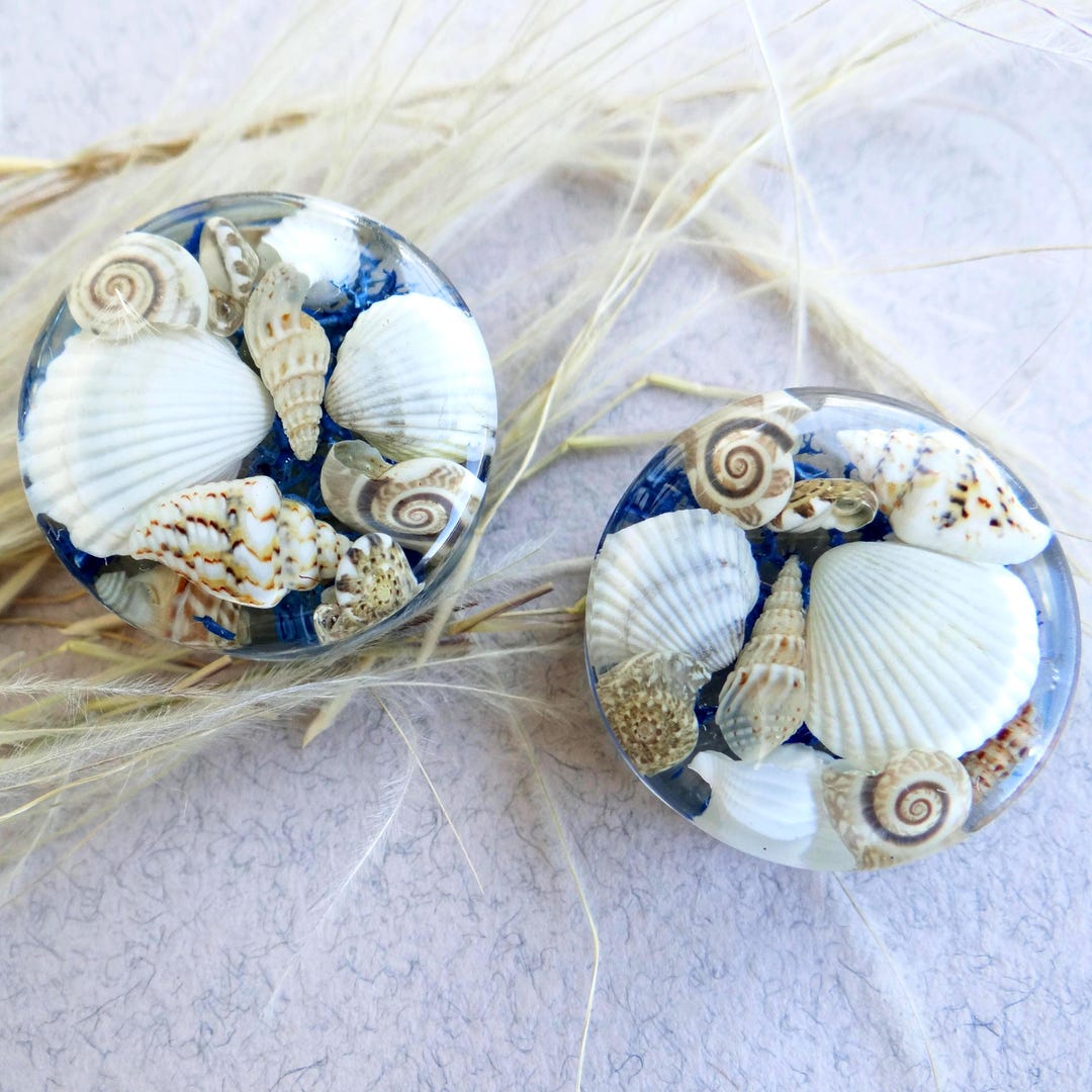 Nautical Plugs Blue Moss Gauges Sea Shell Jewelry 0g Tunnels Seashell ...