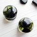 Obsidian Plugs Gauges Genuine Stone Plugs 00g Onyx Plugs and Tunnels 0g ...