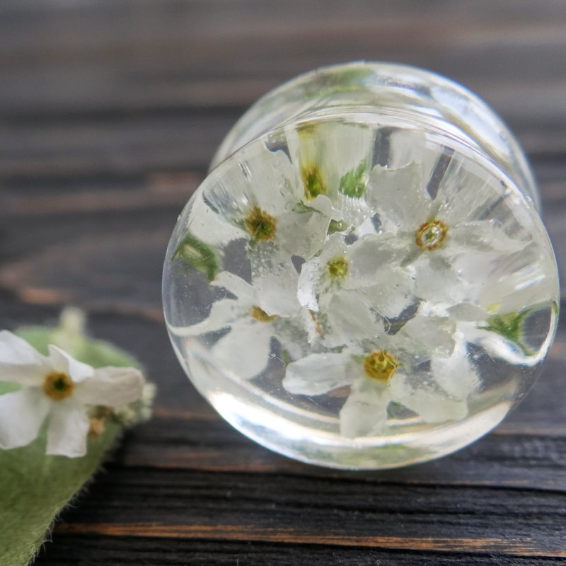 Unique Ear Plugs - Etsy