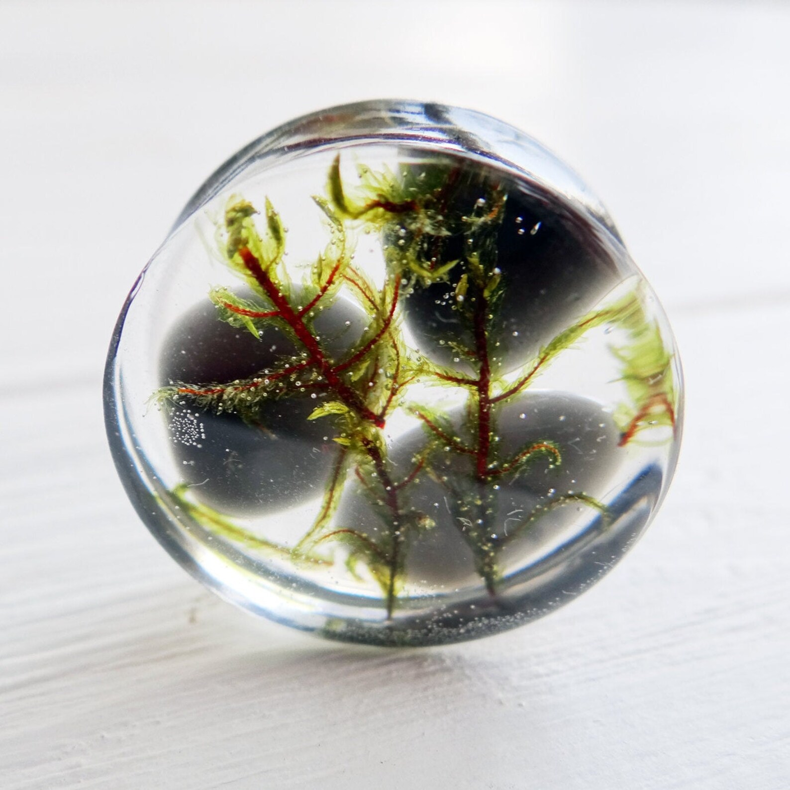 Obsidian Plugs Gauges Genuine Stone Plugs 00g Onyx Plugs and | Etsy