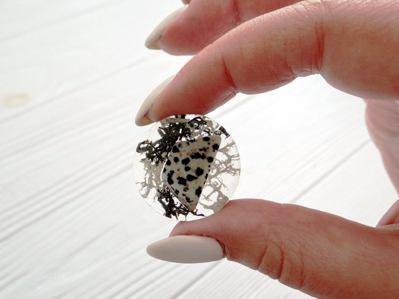 DALMATIAN JASPER Plugs Gauges for Men for Women Stone Plug and Tunnel ...