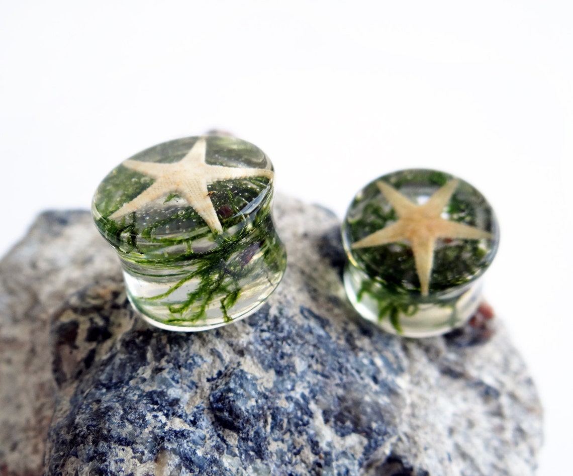 Starfish Plugs 2 Inch Plugs Mermaid Plugs Under the Sea Plug | Etsy