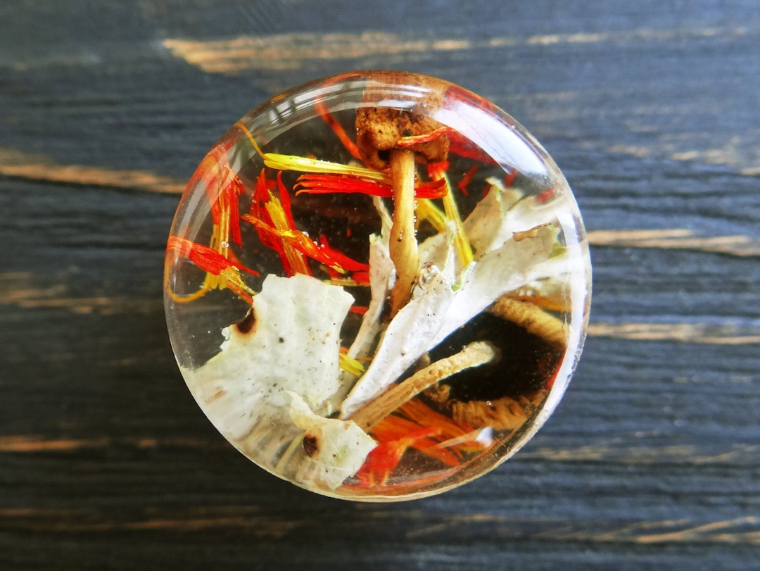 Mushroom Plugs Forest Plugs 0 Gauge Earrings 00g Plugs Fairy Witch ...