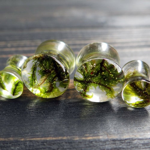 Black Plug Earrings Ear Gauges Moss Resin Plugs 2g 0g 00g 12mm | Etsy