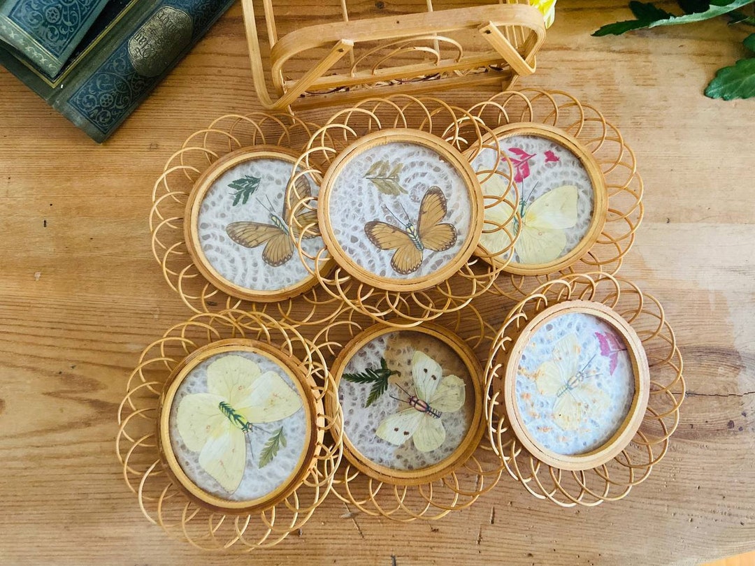 Rattan Wood Coasters Set, Glass Table Mats, Dried Butterfly Vintage ...