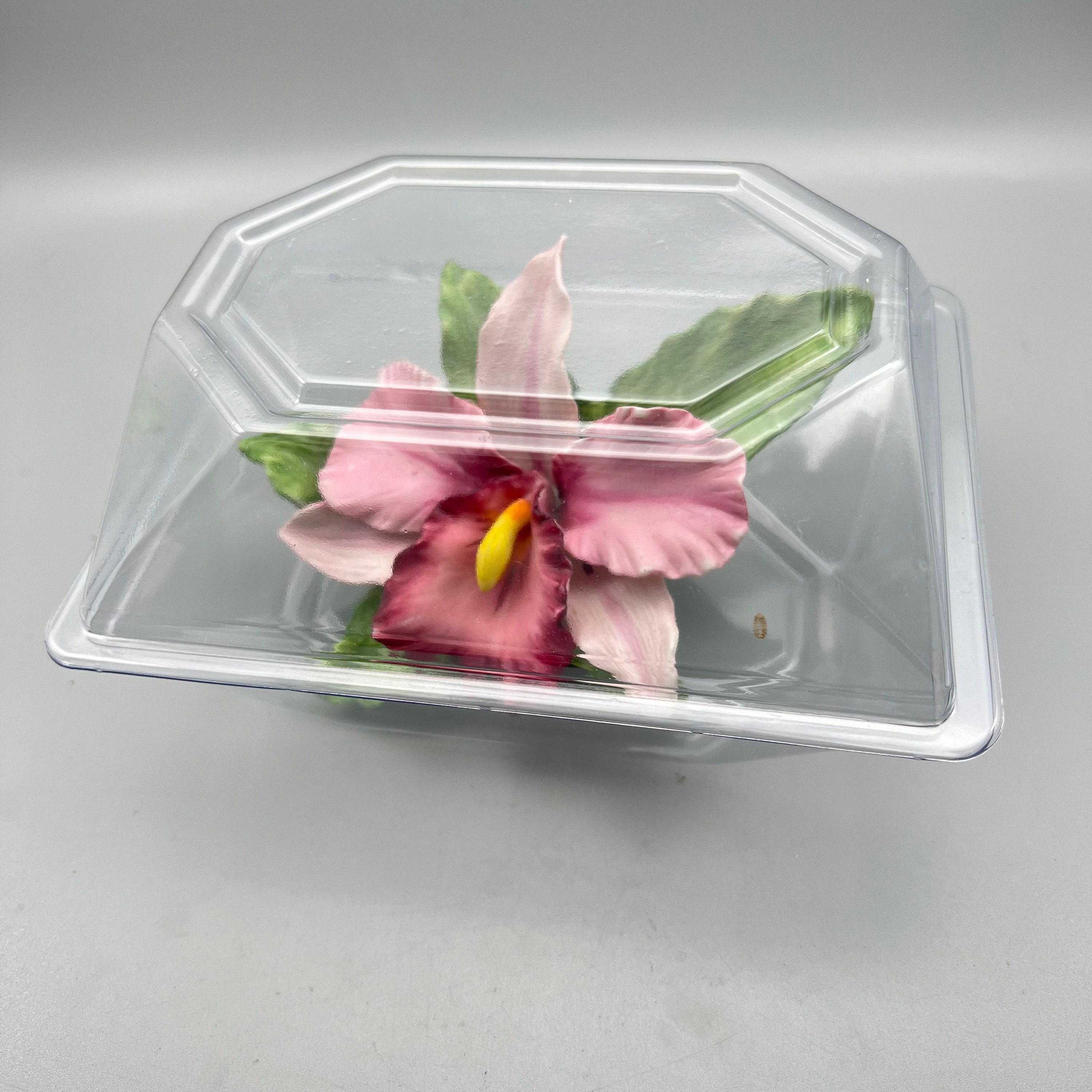 Clear corsage boxes store