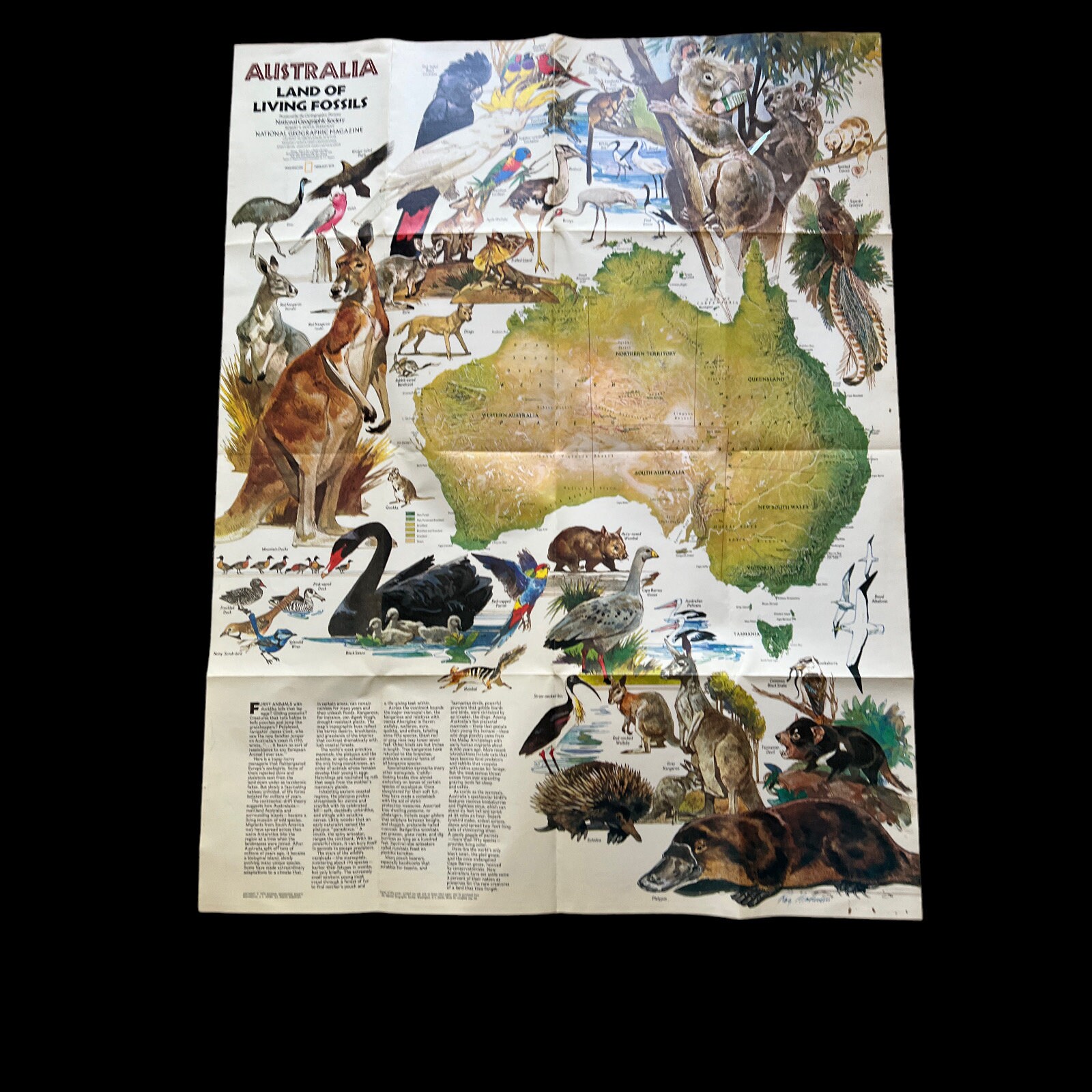 Australia, National Geographic Maps, Informational, Pictorial ...