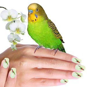 Waterslide Nail Decals Stickers, Bird Nail Art Transfer, Parrot or Blue ...